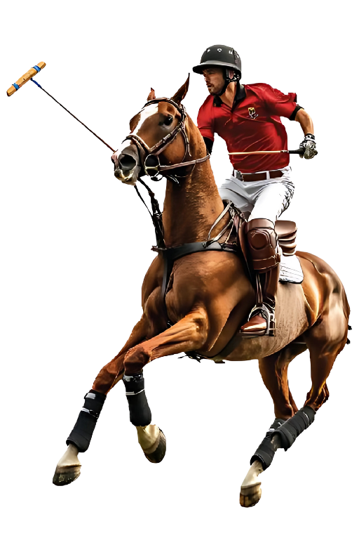 The Stables - 828 POLO